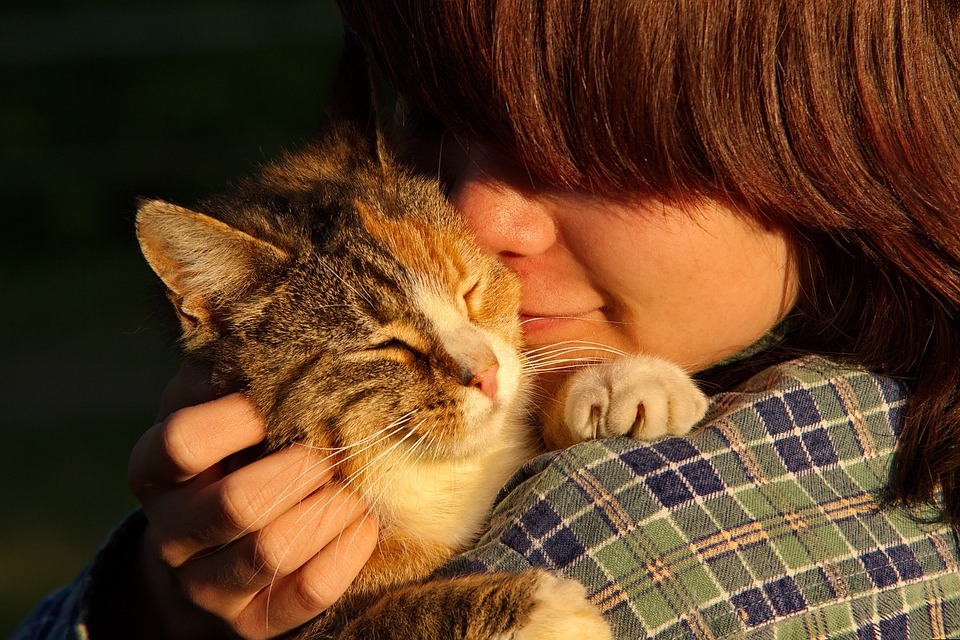 10 Ways Your Cat Says "I Love You"