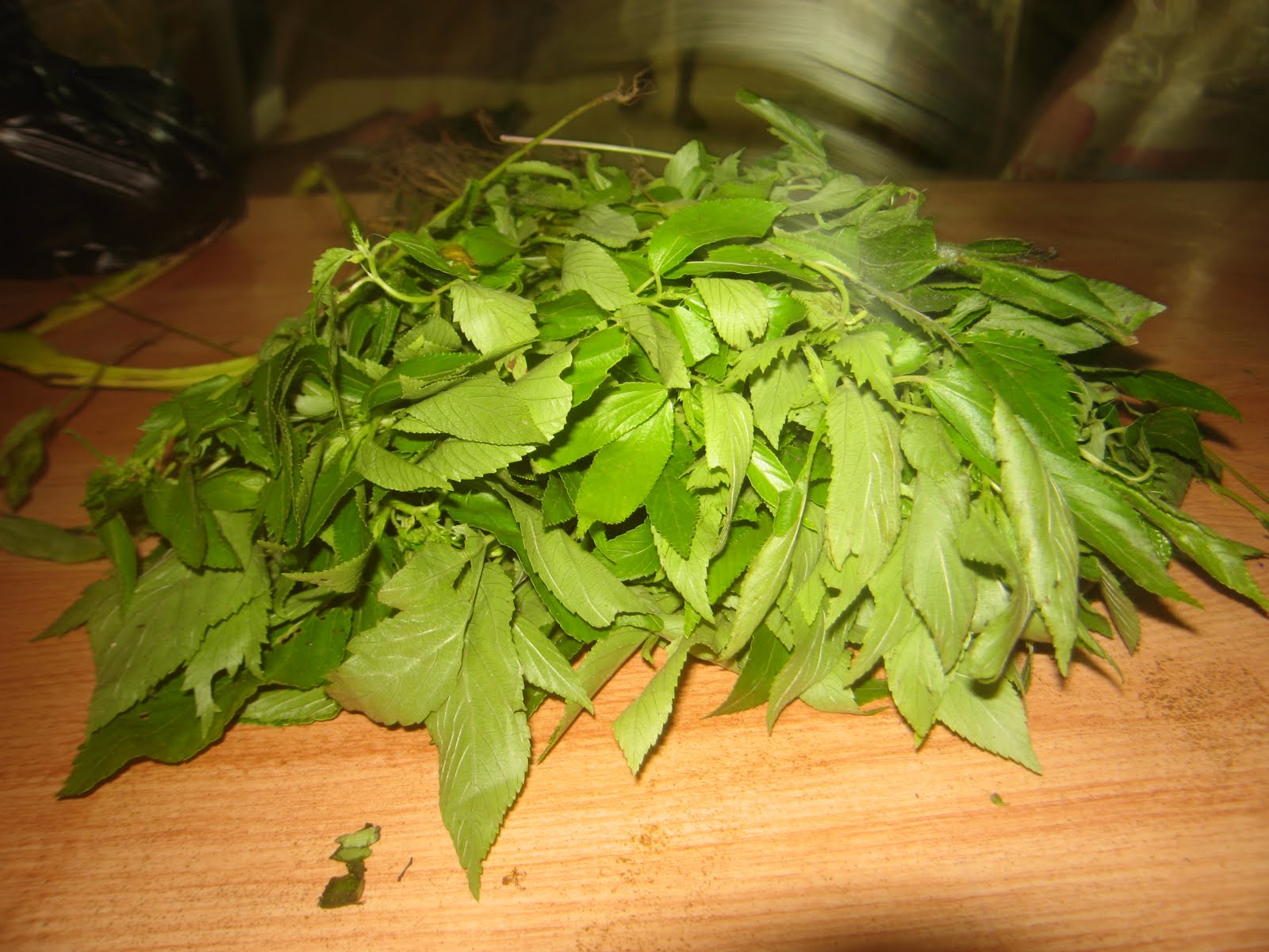 NO.GO.BELIEVE: FOOD: Making Ewedu Soup