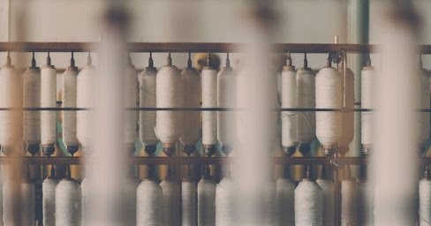 8 Interesting Facts You Must Know About Cotton