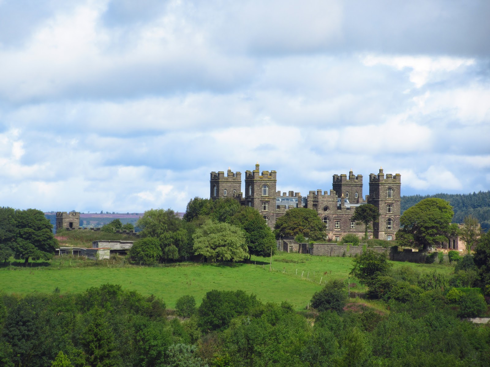 Bunny Mummy: Hilly Fields