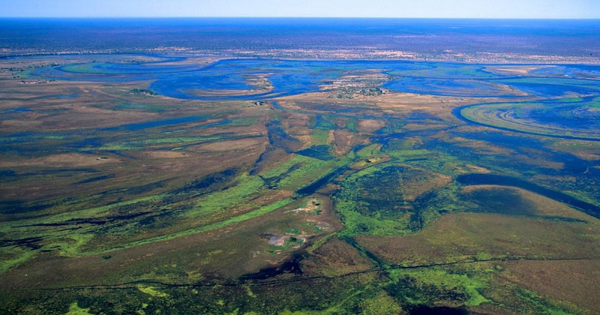NATURALEZA. La exuberancia del delta del río Okavango | La Crónica del ...