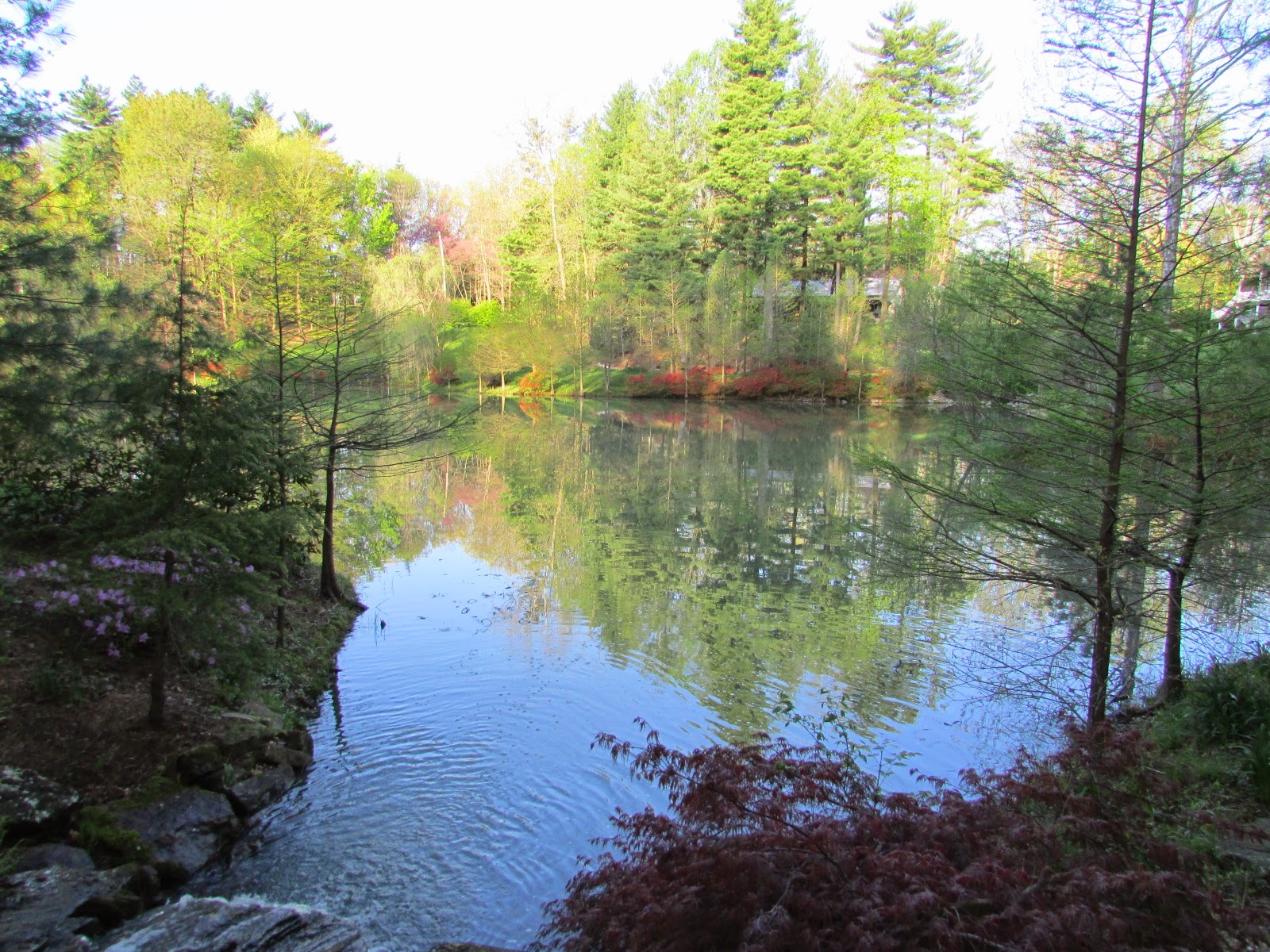 Murray & Candace's Adventures: Azalea Path Arboretum and Botanical ...