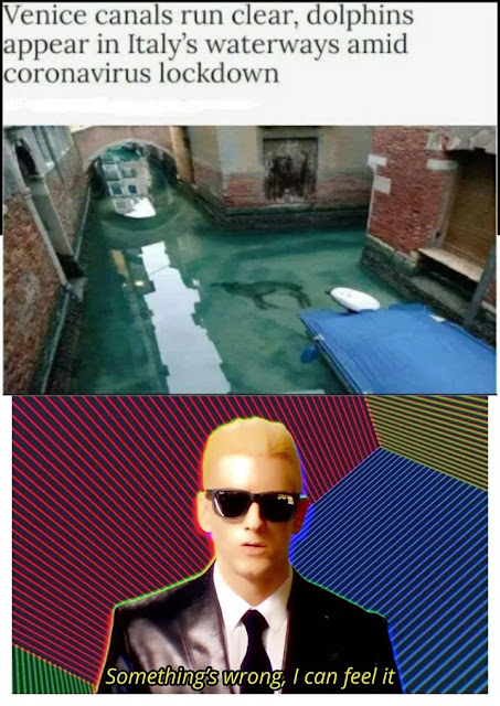 29 Coronavirus Quarantine Memes.