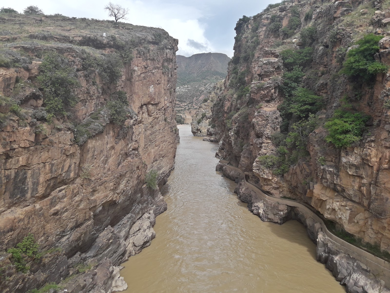 Nick's Adventures Bolivia Tours