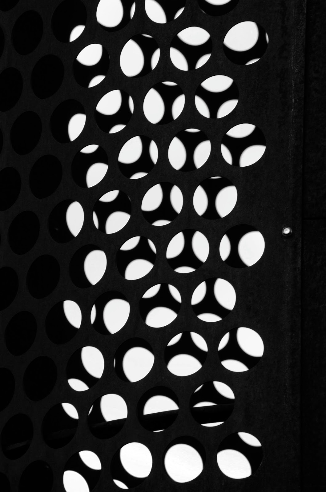 Picture Perfect Practice: Finding Geometric Shapes