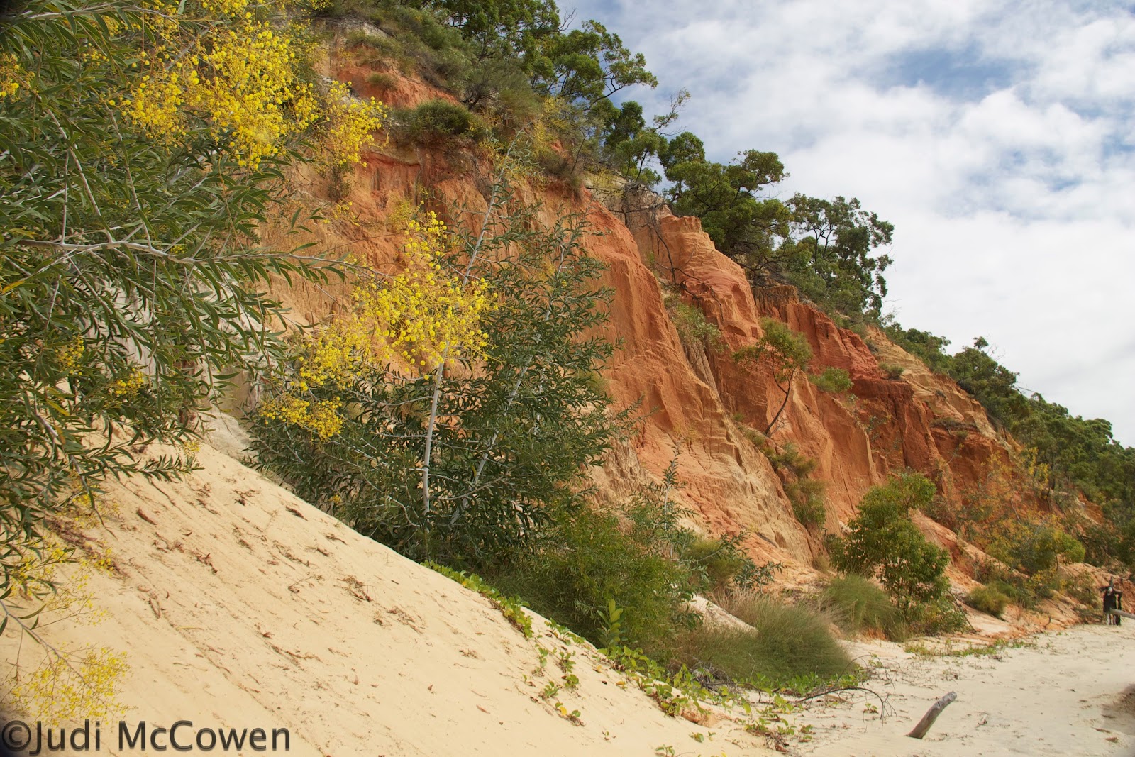 JUstDreamInparadise: The coloured sands at Elim Beach