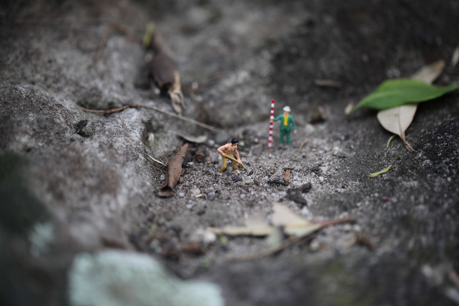 A Mad Nomis ViewOnLife: Micro World Photography!