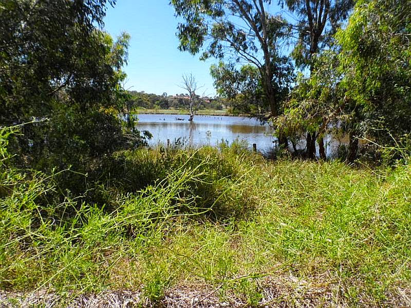 TRACKS, TRAILS AND COASTS NEAR MELBOURNE : Banyule Flats Reserve and ...