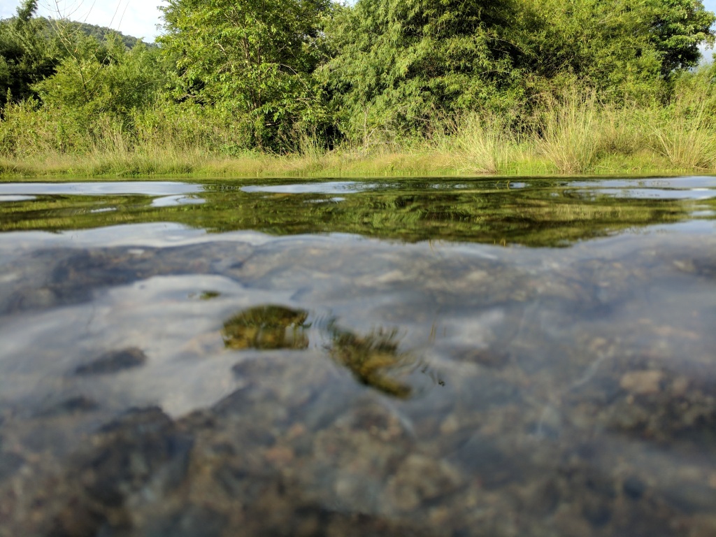 Tamilnadu Tourism: Kalikesam Forest & Waterfalls, Kanyakumari