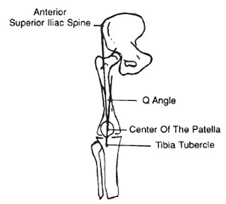 Fisioterapia em Traumato-Ortopedia Baseada em Evidências ...