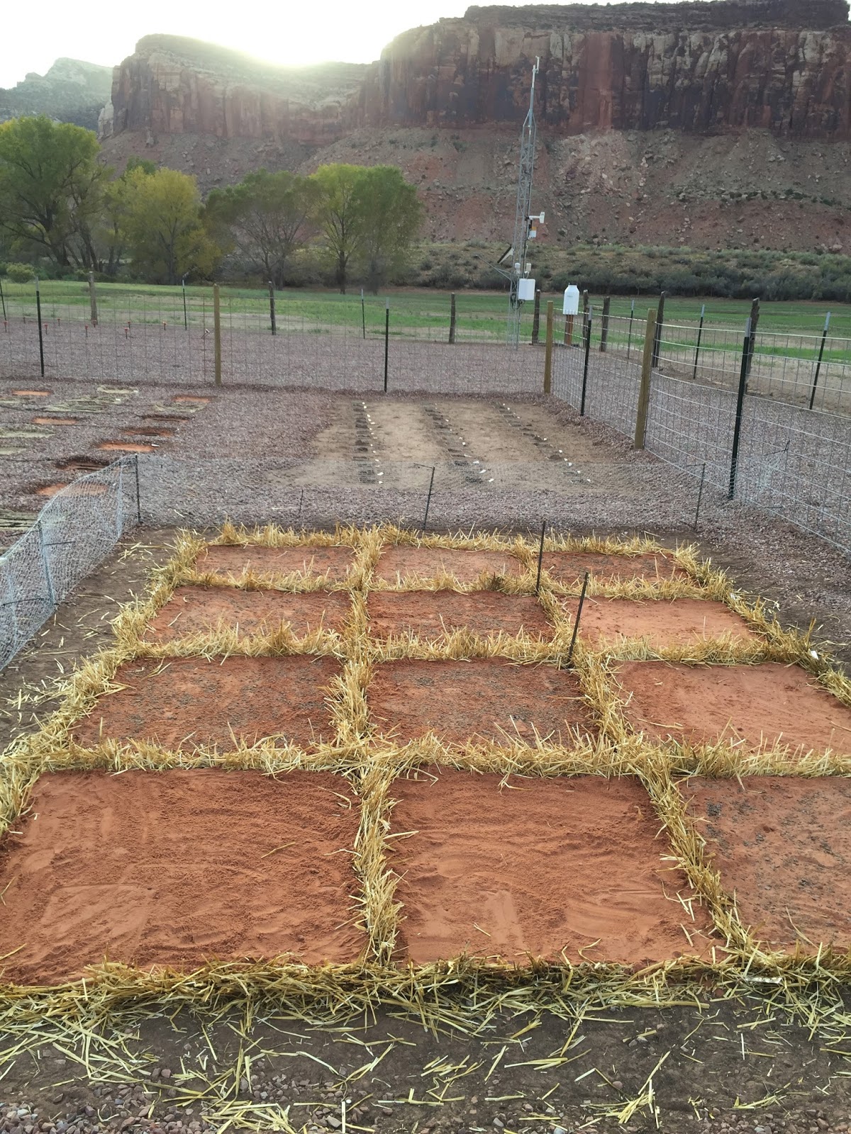 Forest-Rangeland Soil Ecology Lab: CRC Features our Biocrust ...