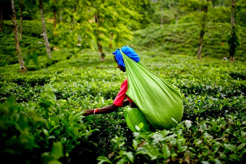 :: Alexandra Proaño 3D - Green Pear Diaries ::: GMB Akash, imágenes con ...