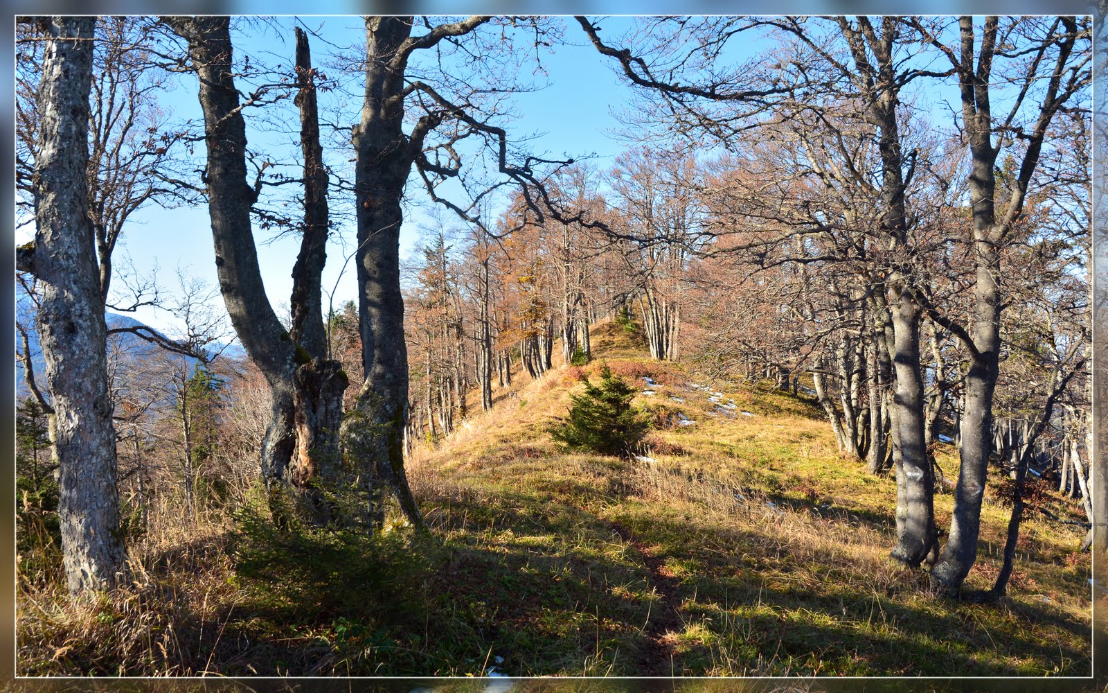 Helmut`s Bergtouren und Wanderungen: Wasserklotz - Astein