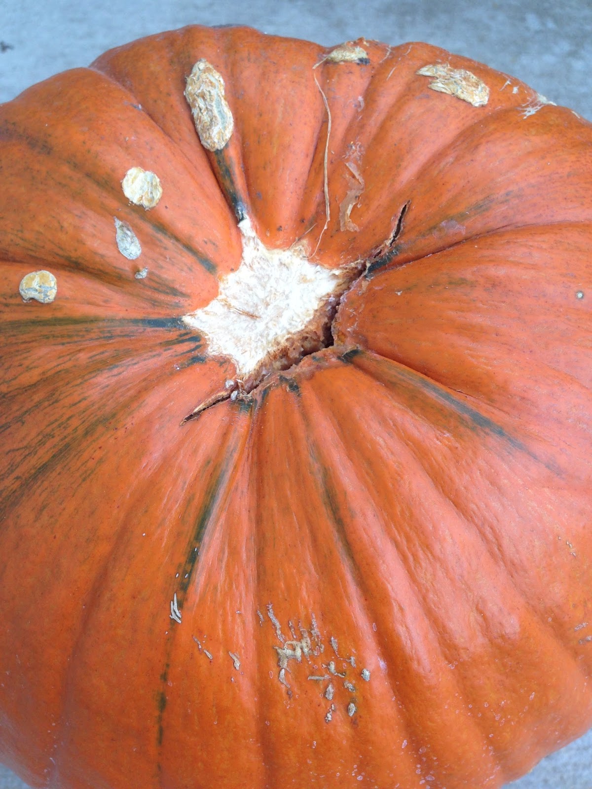 No! This Is SERIOUSLY My Life!