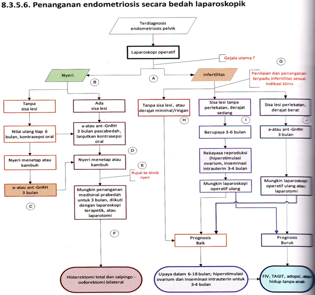 obgynmag: Kista Coklat (Endometriosis)