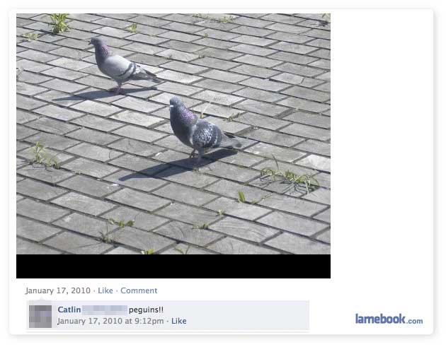I Have Seen The Whole Of The Internet No No I Have Seen The Whole Of The Internet No No