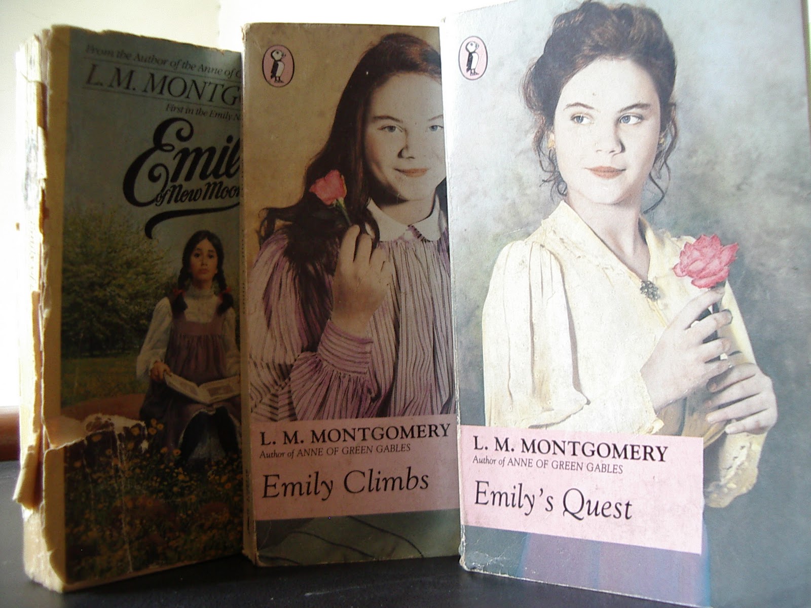 The Book Nook: Why haven't they made the movie: The Emily Series?!