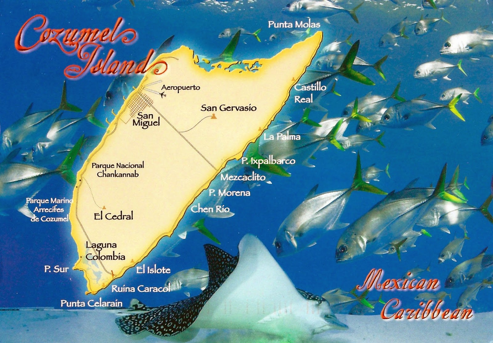 My Favorite Postcards: A Map of Cozumel Island, Mexico