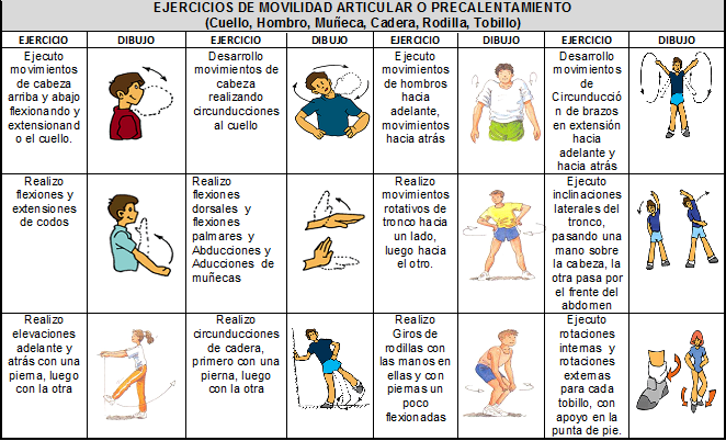 Educación Física Recreación y Deportes - I.E.T. MEDALLA MILAGROSA ...