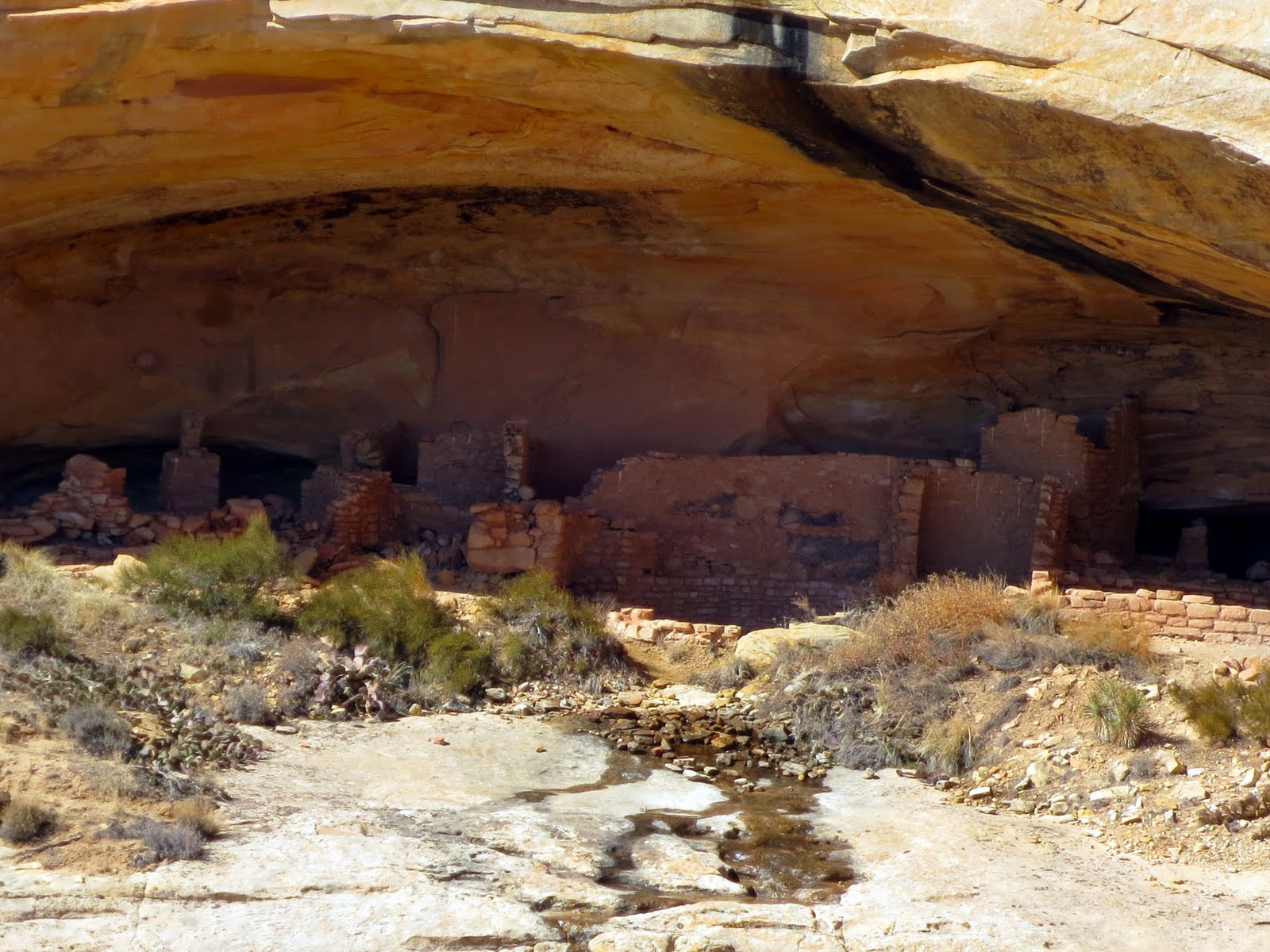 Journeys: Comb Ridge, Utah - Ancestral Puebloan Ruins