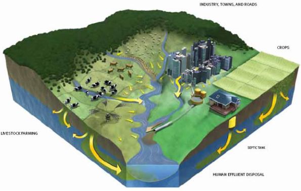 Non-Point Source Pollution