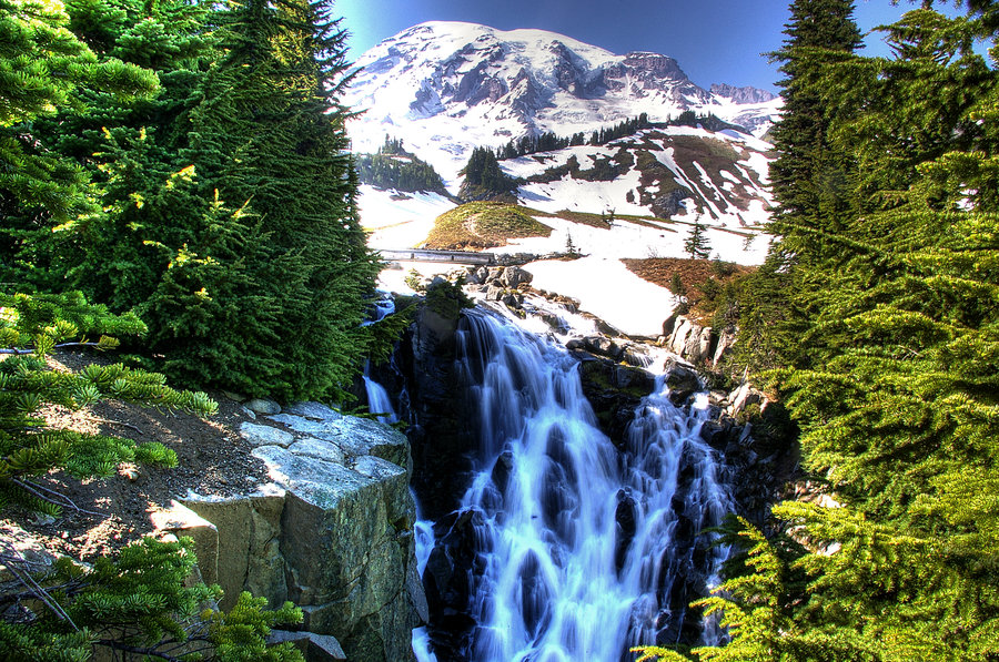 Mt. Rainier