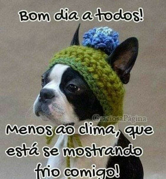 Bom dia a Todos Menos ao Clima. - Amo Frases