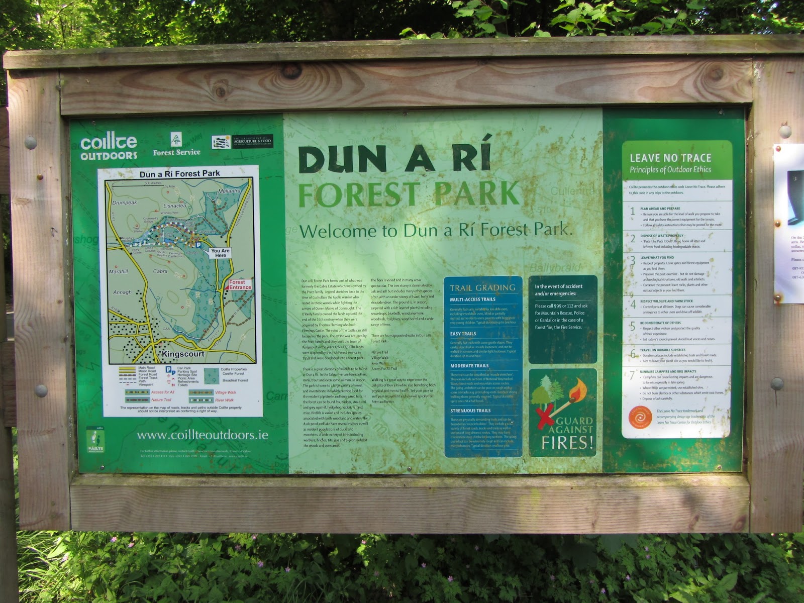 *Nina's Bargain Beauty*: Places to Go in Ireland : Dun Na Ri Forest Park