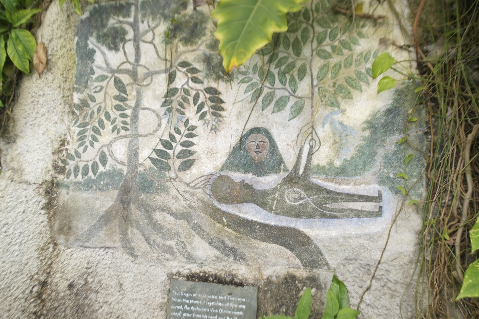 Art Room: The impact of deforestation continues upon the Rainforest...