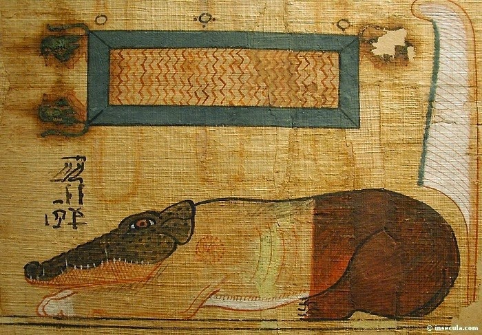 Cuartoscuro: Ammyt, devoradora de corazones