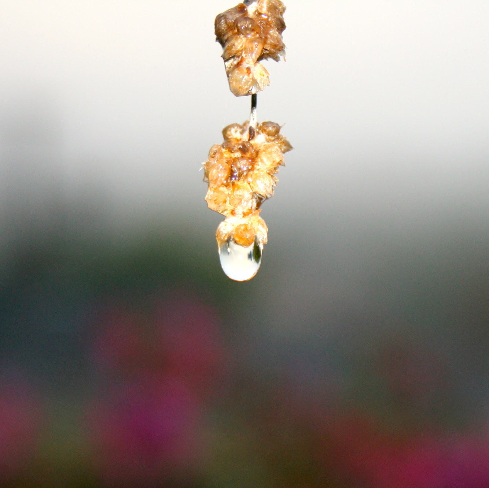 This World of Water: Sweet Talk – How Do You Talk To Your Water?