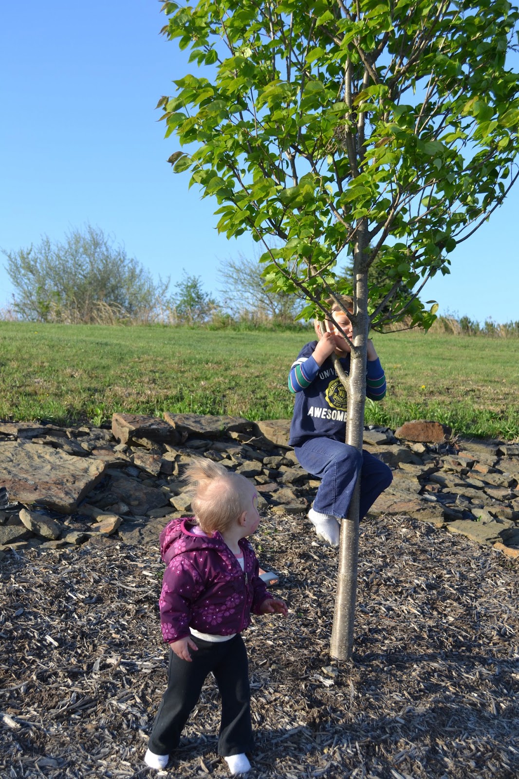 Team Studer: An 'Outdoors Kid' - the pros & cons