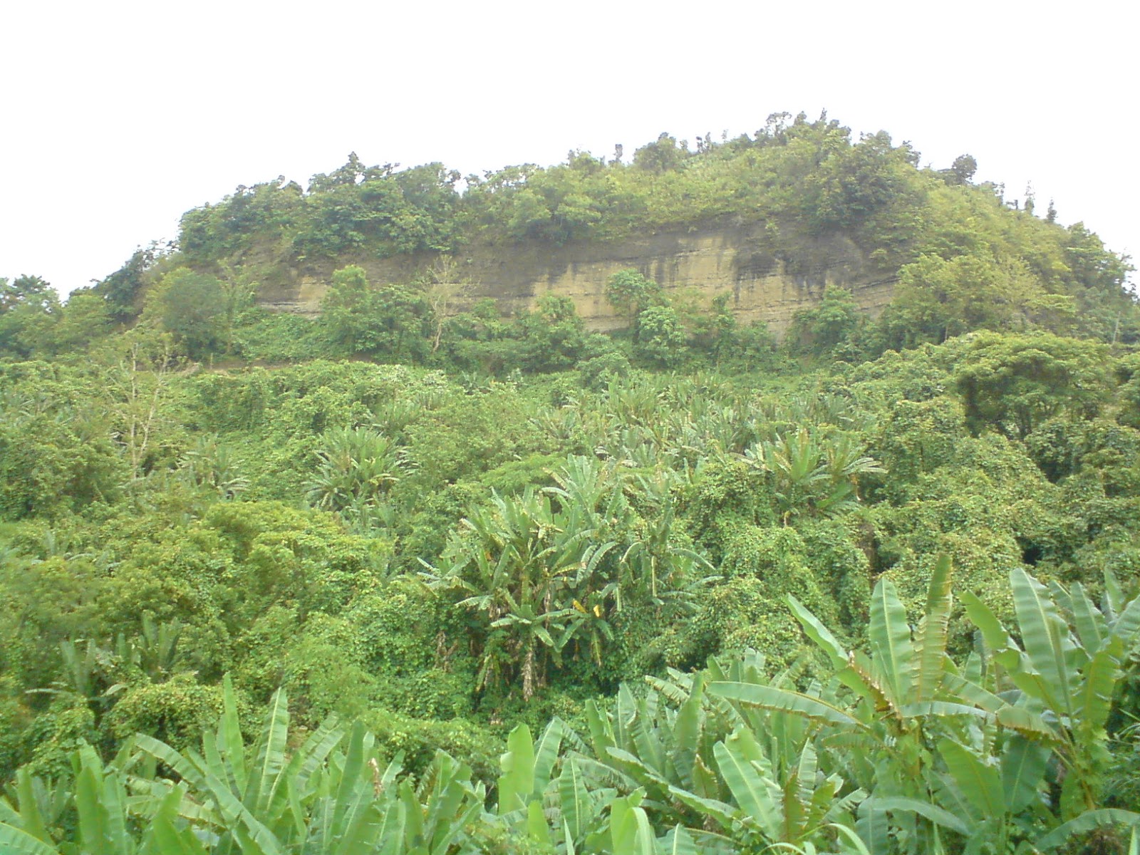 AMAZING BANGLADESH: MEGHLA