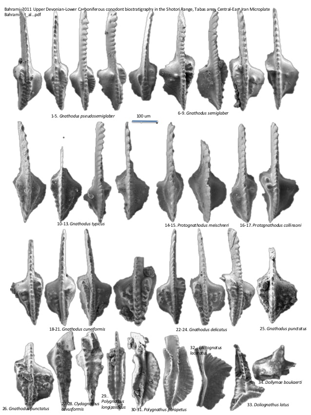 Partial Ellipsis of the Sun: A Blog for Scientists who like Words and ...