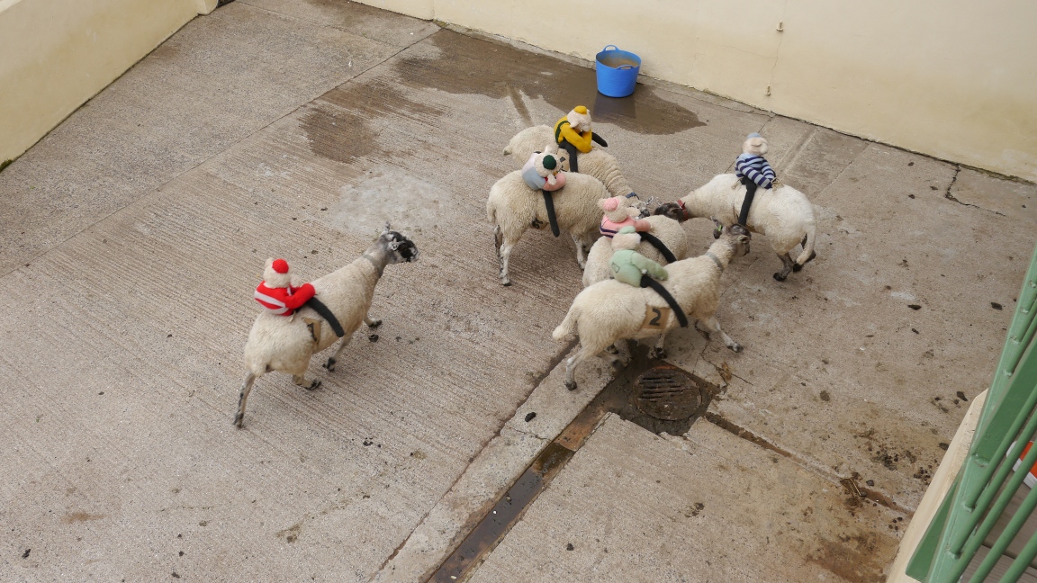 Tantrums and Tingles - tales of motherhood and MS: Windy Sheep and ...