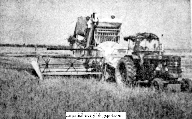 carpatisisrd: BUCEGI SR 116- BASCULE