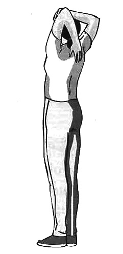 Pengertian Kebugaran Jasmani, Joging, Sejarah Joging, Otot - Otot ...