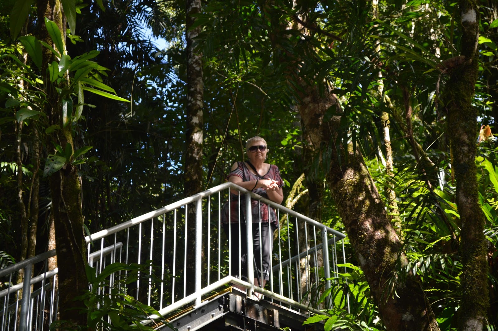 Back to Queensland 2013: July 2013