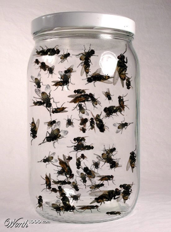 papagedebe.com: OutSyed The Box