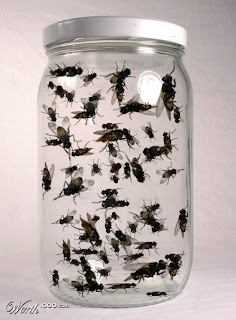 papagedebe.com: OutSyed The Box