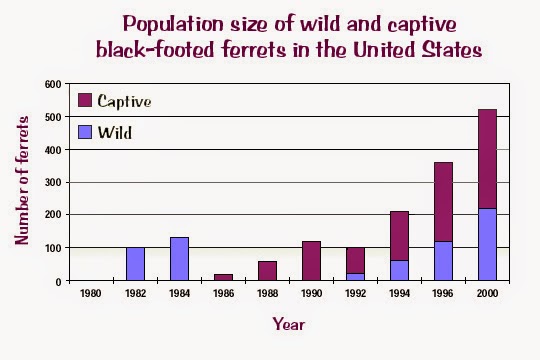 BIO 227:2: Black-Footed Ferret Recovery Plan