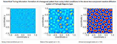 Biophilia: How do we get five digits?