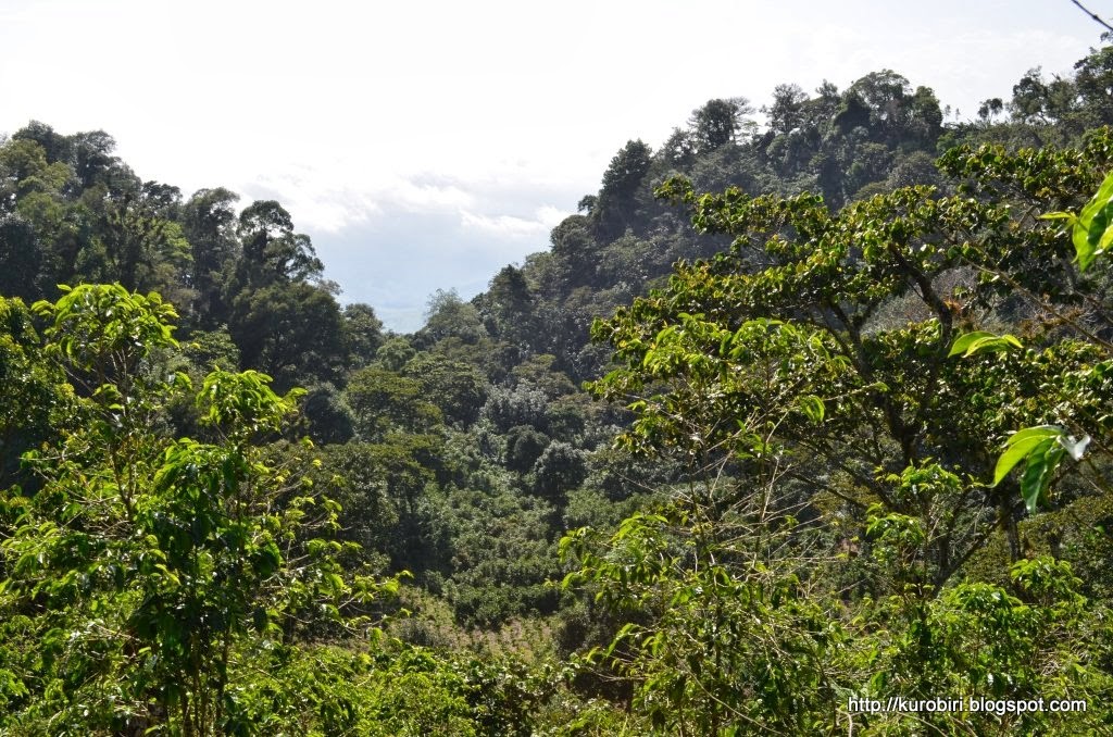 Donde el viento me llevó: Volcán Moyuta