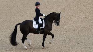 Horse Life and Love: Greatest Horses - Valegro