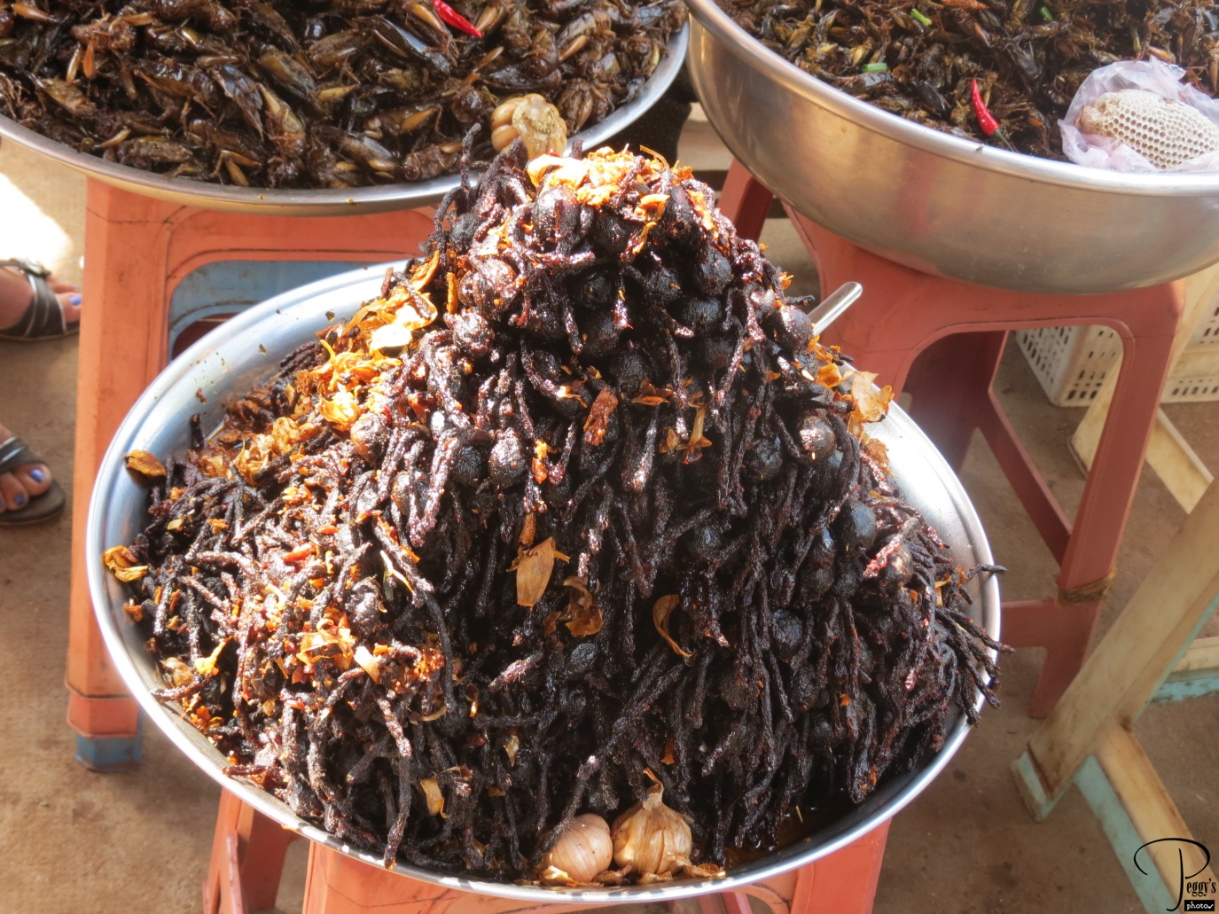 Explore to The Natural World: A PING, FRIED SPIDER