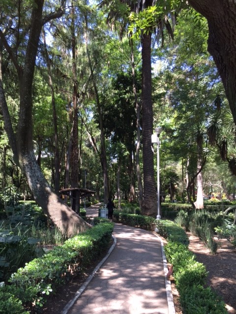 Mexico City: An Opinionated Guide: An Easter morning stroll through ...