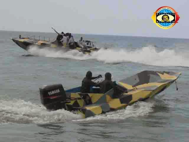 Guerrillas in the Midst: LTTE