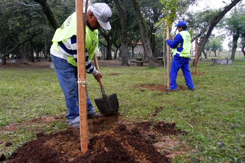 ASOCIACION ECOLOGISTA RIO MOCORETA: COMPENSACIONES AMBIENTALES