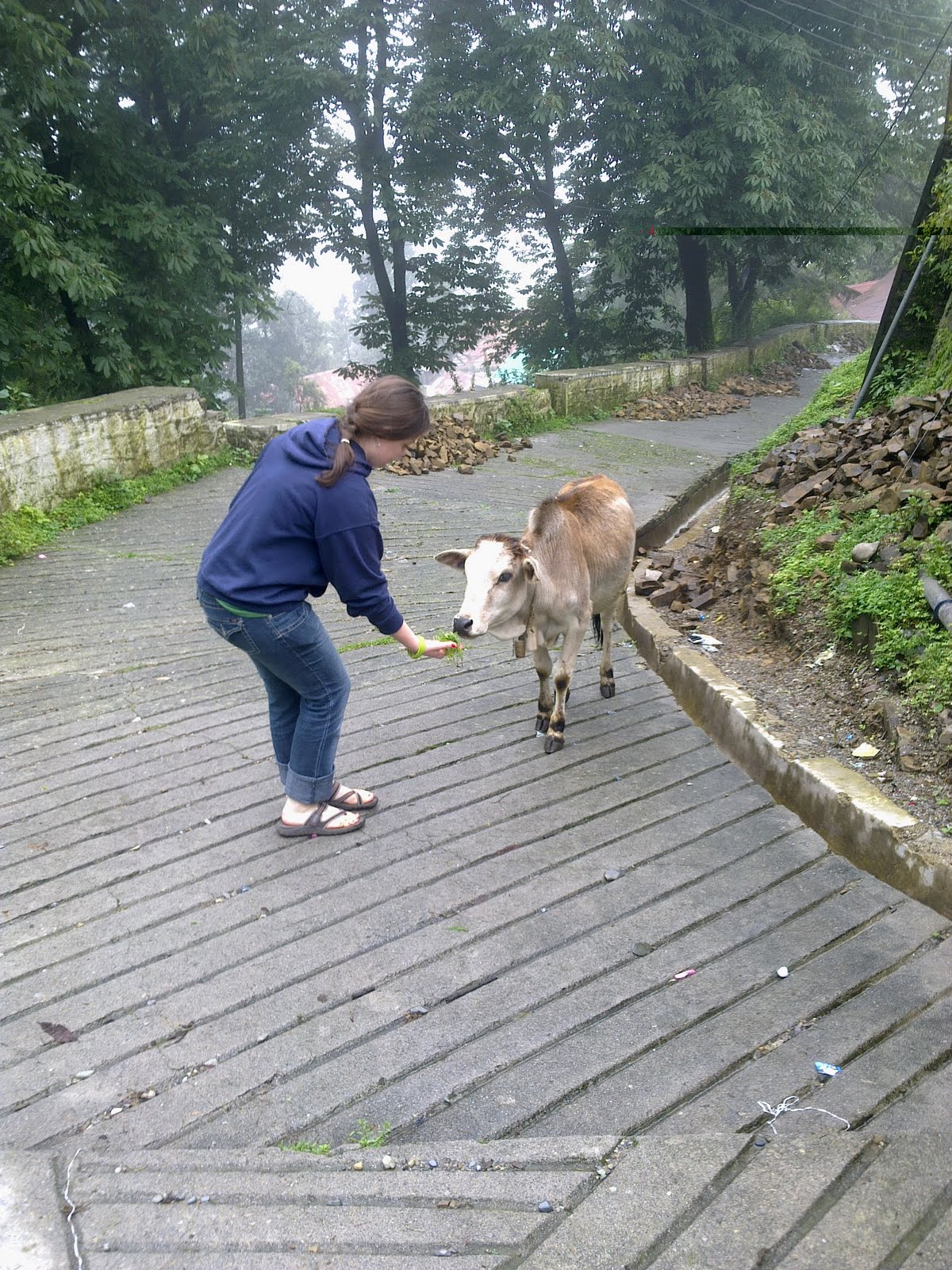 Diary of a Fulbright ETA in India: Landour Language School, Mussoorie
