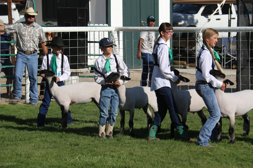 Desert Survivor: 2017 White Pine County Fair - Part 1: Livestock